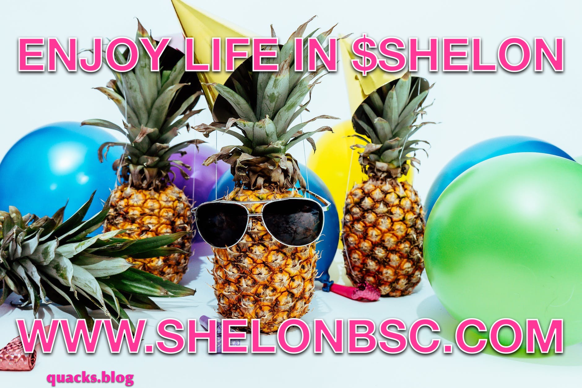 $SHELON connecting city with country – SHIBARIUM Web